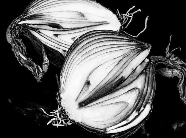 Hei du, din løg, kem e du egentlig? - Synneva Erland